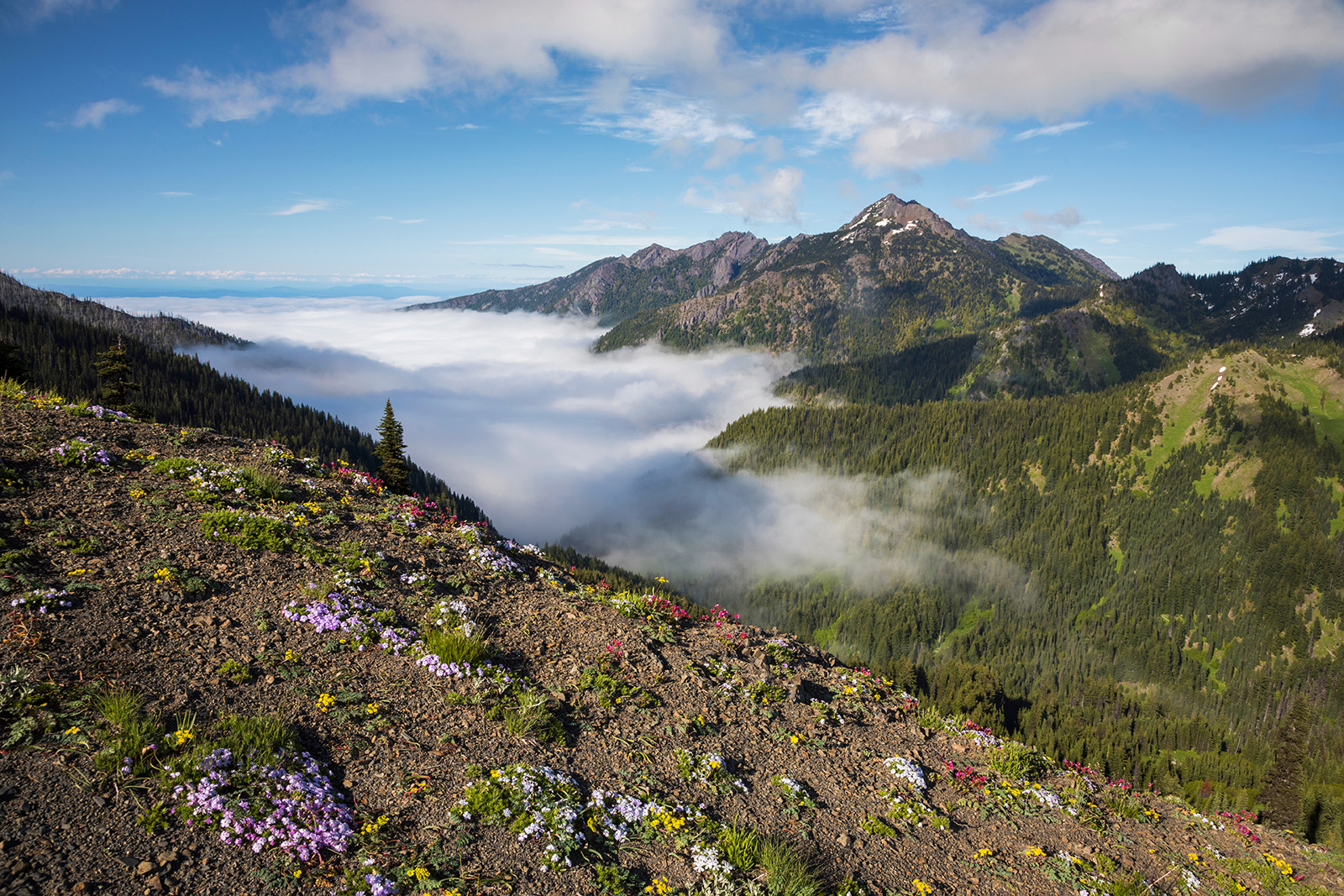 Puget Sound Hiking & Walking Tour | Backroads Adventure Travel