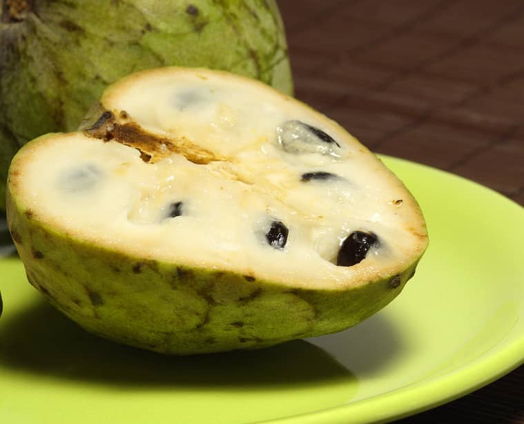 Cherimoya | Backroads
