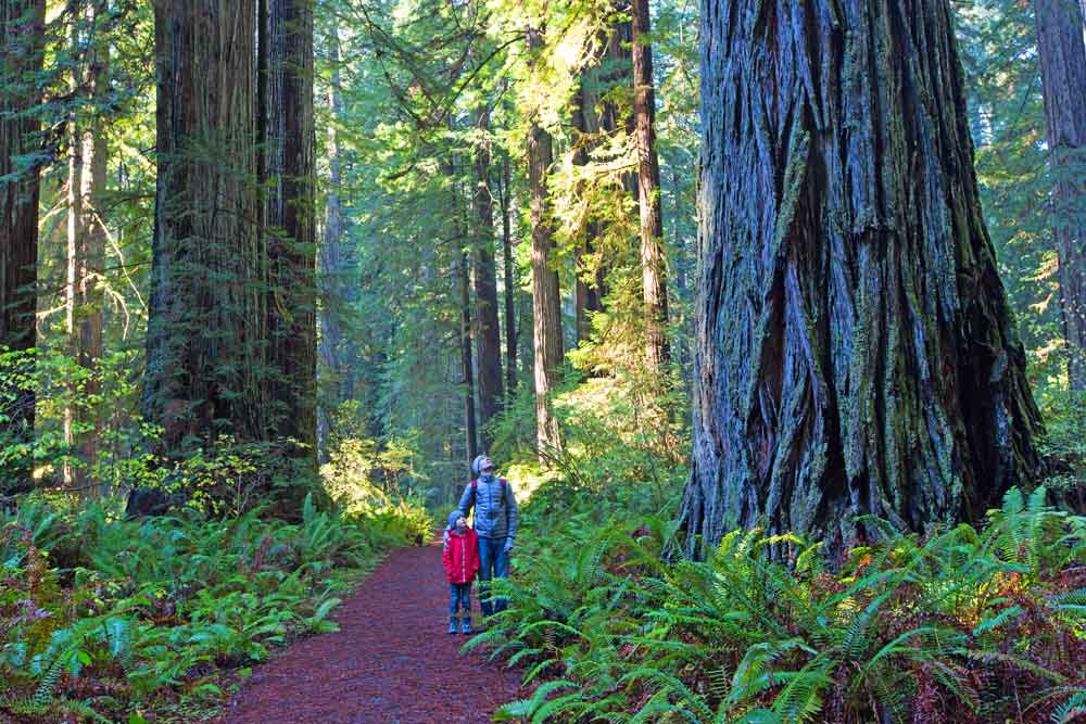 Ten Adventurous Family Vacation Ideas in North America | Backroads