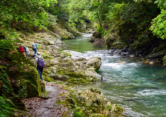 Japan Hiking & Walking Tour | Backroads Active Travel