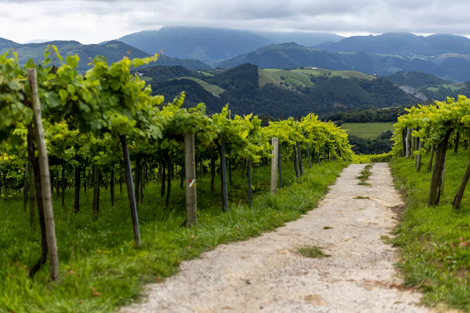 Basque Country Adventure Tour: Bike, Hike, Kayak, Surf | Backroads ...