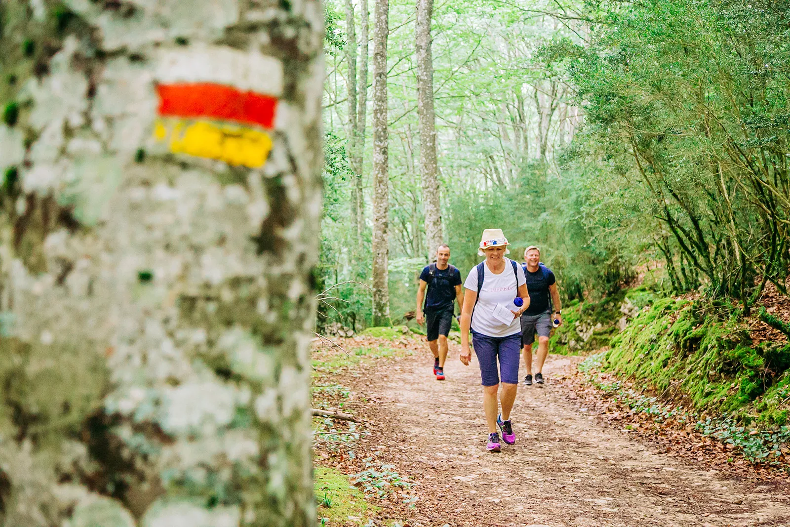 Basque Country Adventure Tour: Bike, Hike, Kayak, Surf | Backroads ...