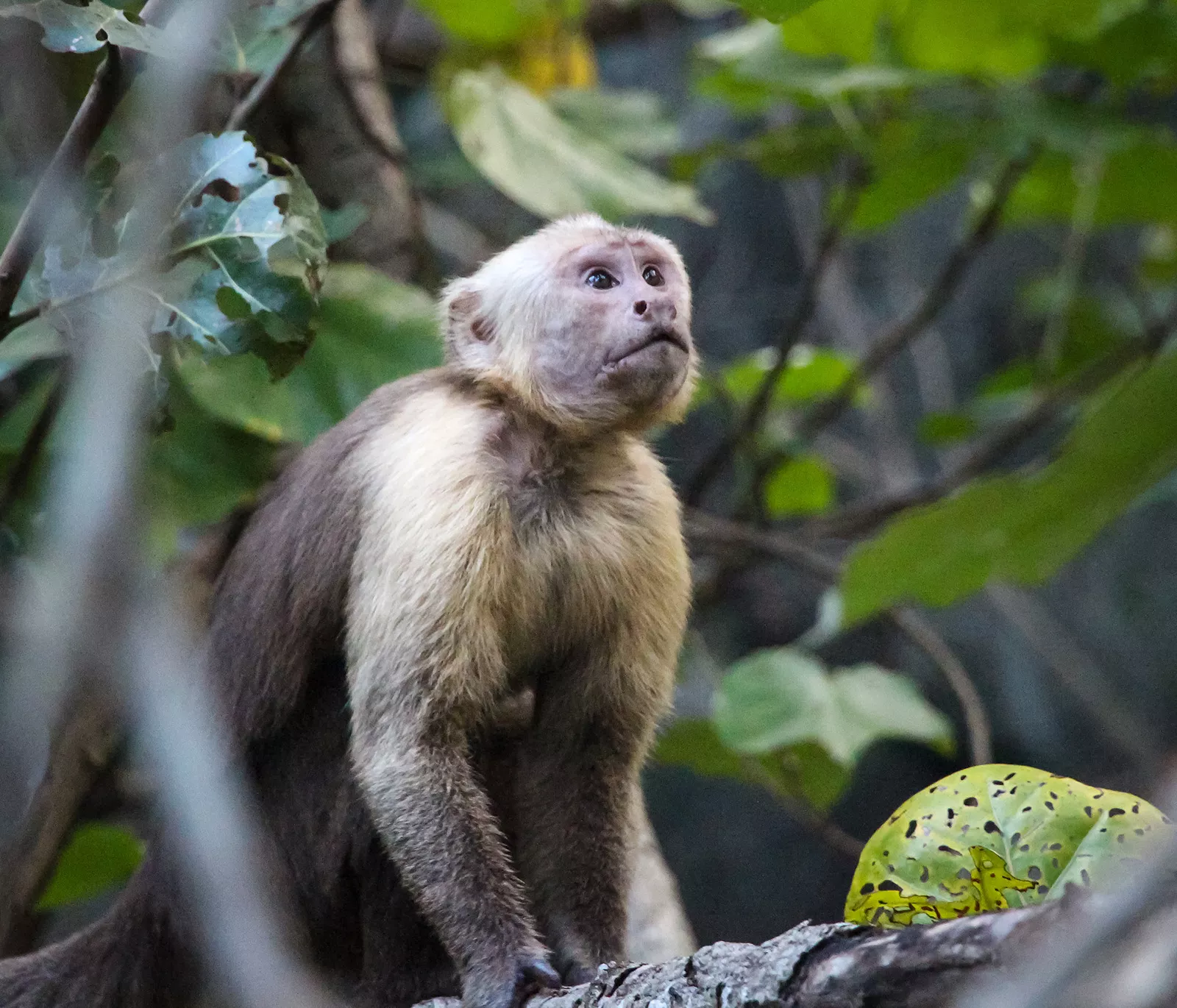 Colombia Hiking Tour: Coffee, Caribe, Cartagena | Backroads Active Travel