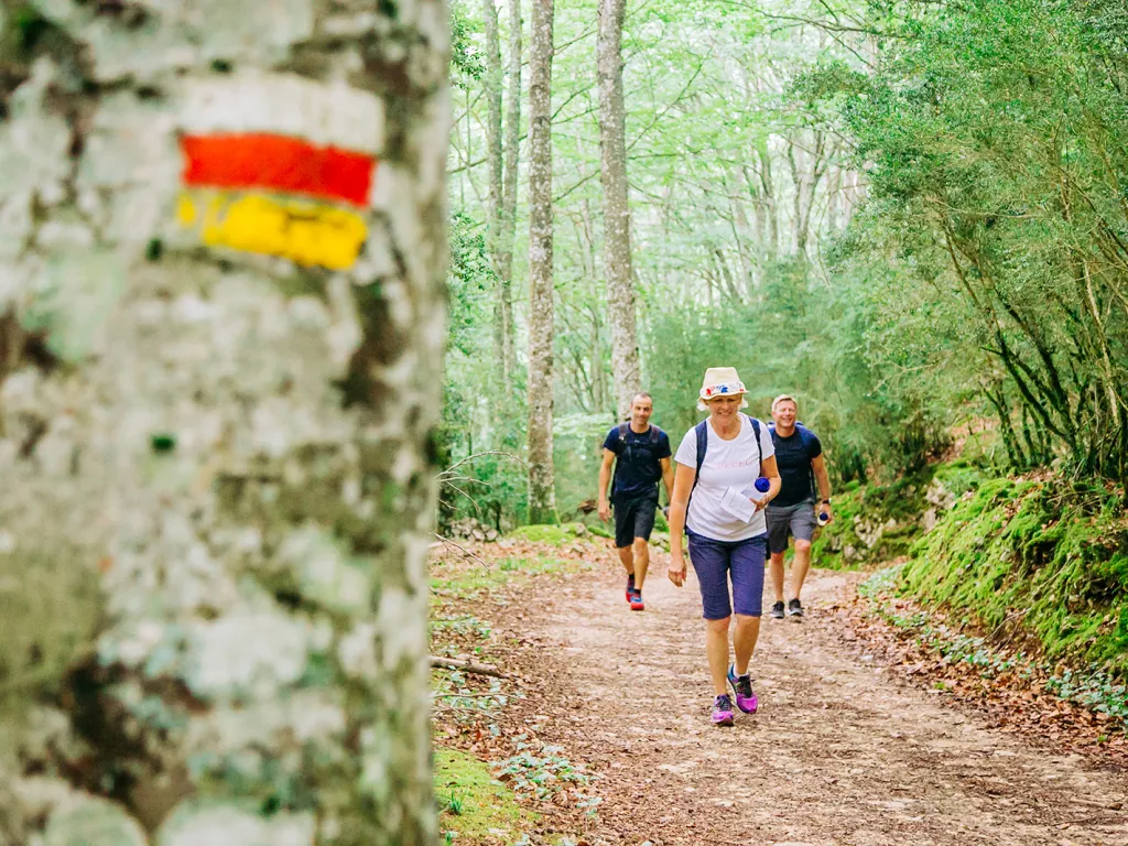 Basque Country Adventure Tour: Bike, Hike, Kayak, Surf | Backroads ...