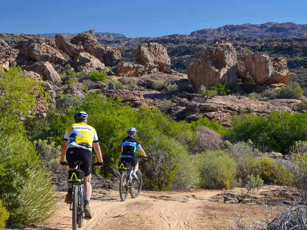 South Africa & Botswana Safari & Bike Tour | Backroads Active Travel
